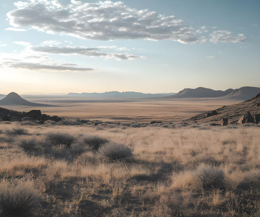 About Us – FRONTIER